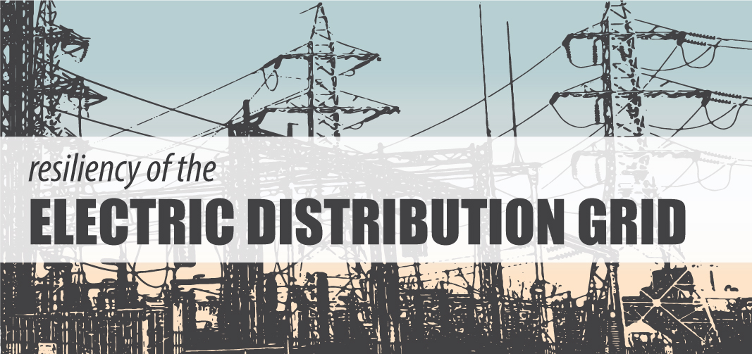 Resiliency of the electric distribution grid